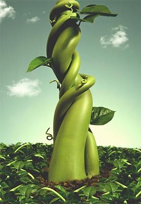 Freelancer and the Beanstalk